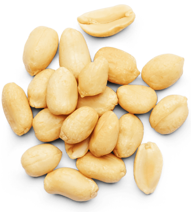 Peanuts